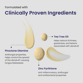 Anti-Recurrence Dandruff Lotion For Severe, Greasy, Flaky Dandruff – Re ...